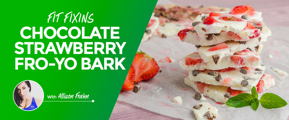 Fit Fixins: Chocolate Strawberry Fro-Yo Bark | Nicole Wilkins